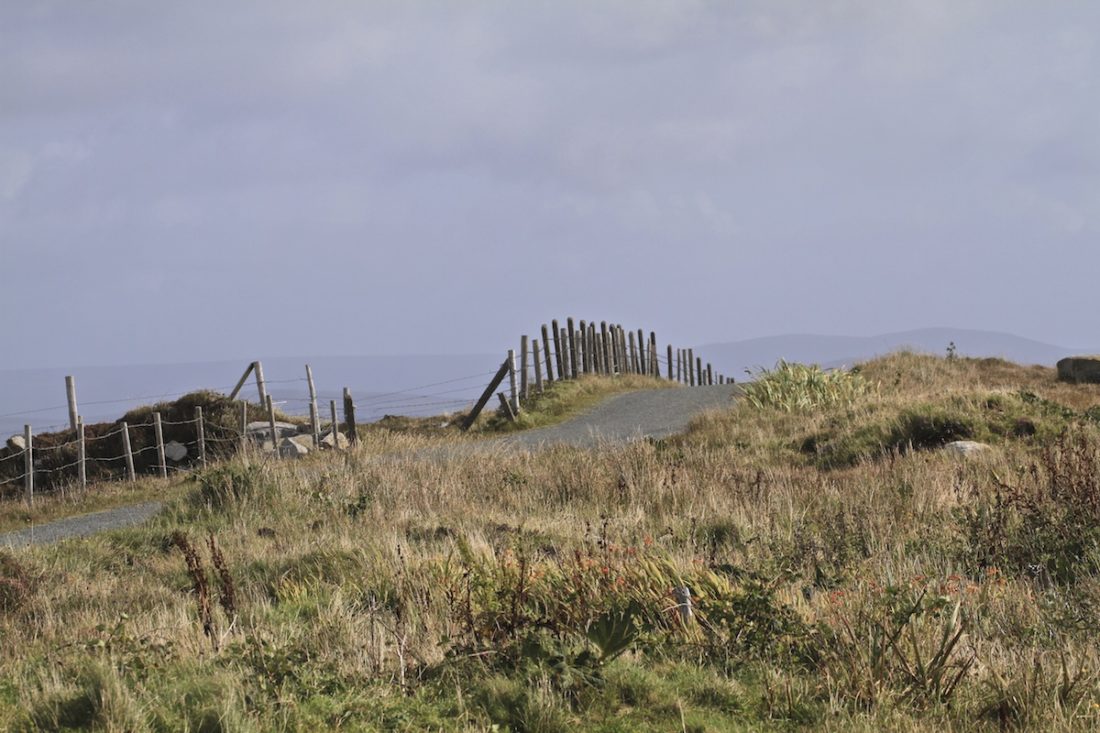 Blacksod Bay - Foxglove Lane